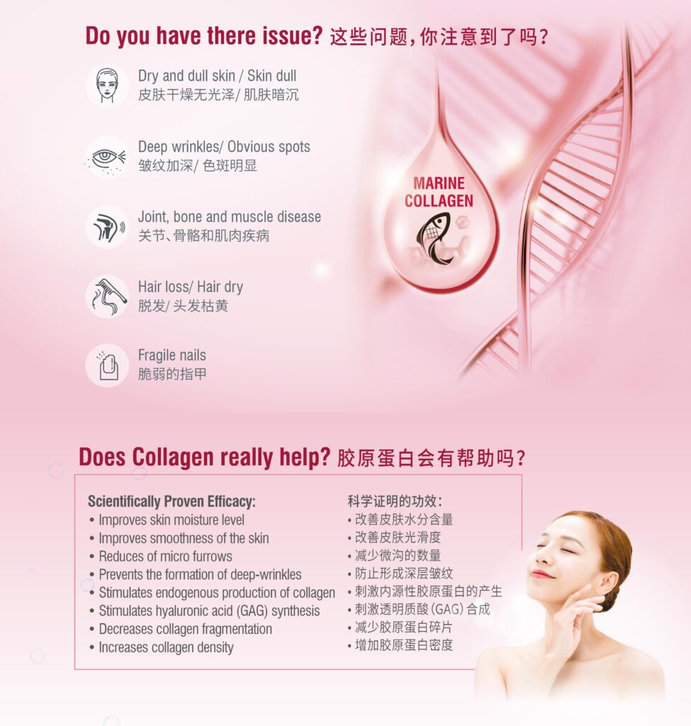 High Fibre Collagen – MarinEx