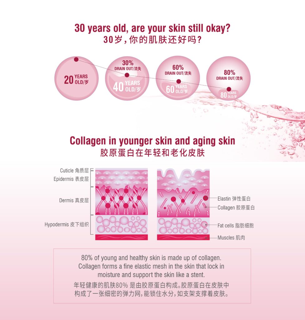 High Fibre Collagen – MarinEx