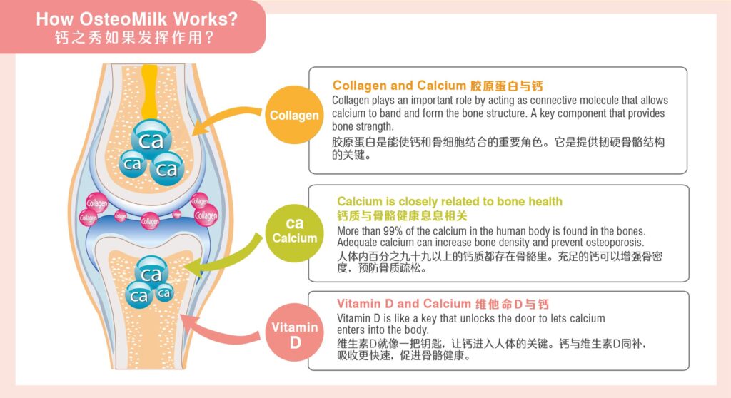 OsteoMilk – MarinEx